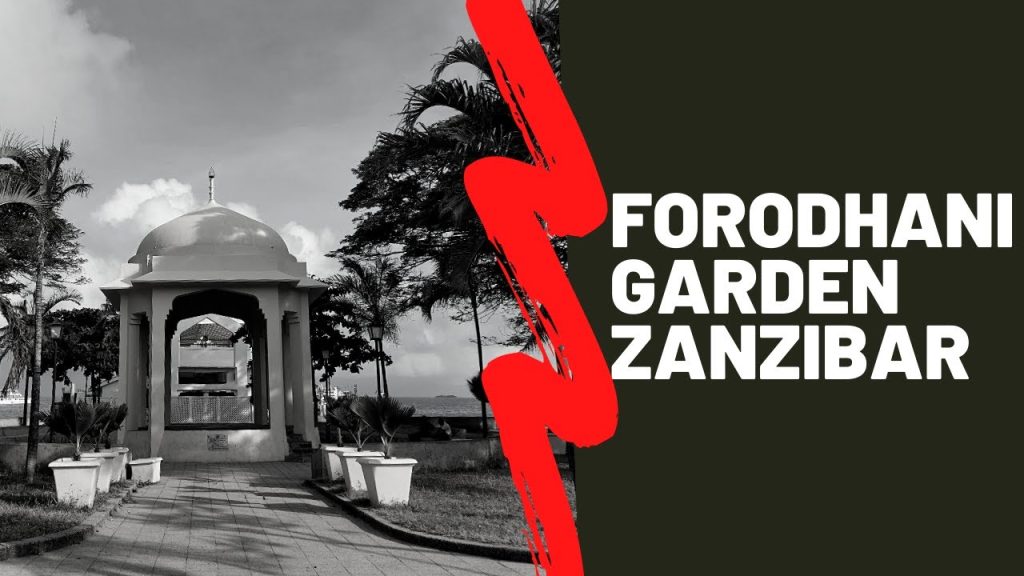 Explora Forodhani Gardens: La Joya de Stone Town en Zanzíbar - Disfruta ...